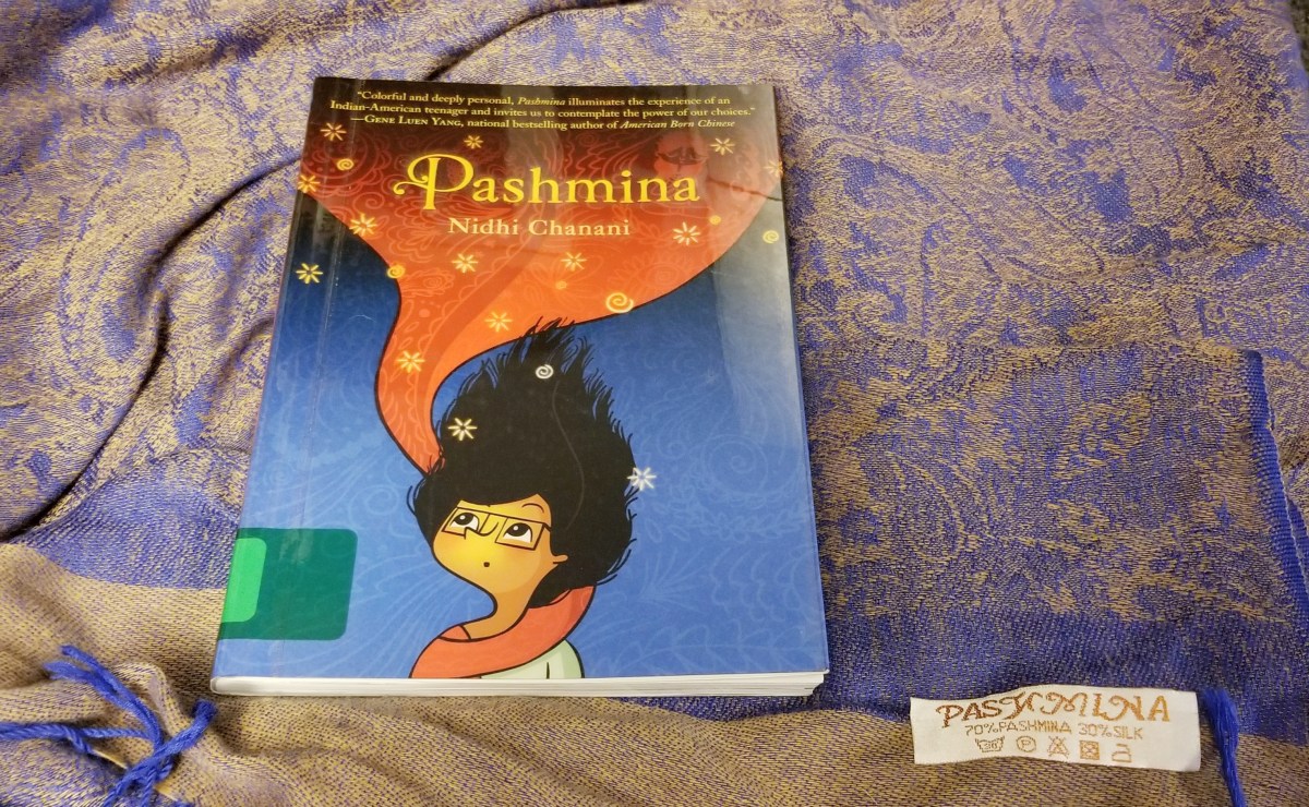 Review: Pashmina Story About More Than A Really Pretty Scarf – Elena ...