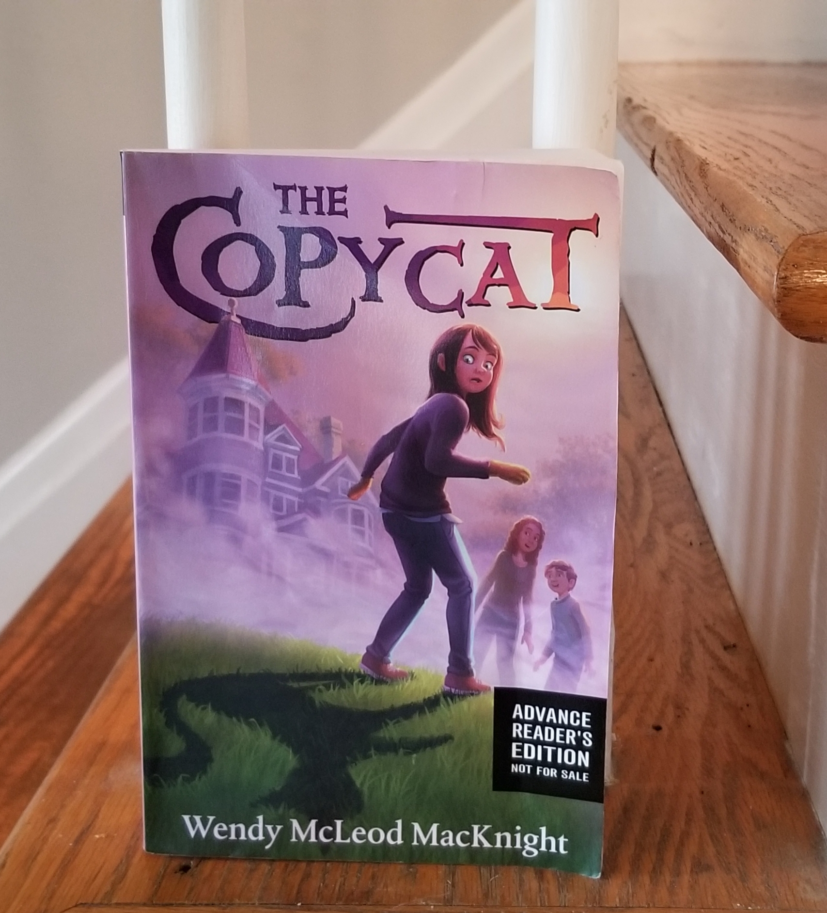 Review: Twists And Turns Will Keep You Glued To The Copycat – Elena ...